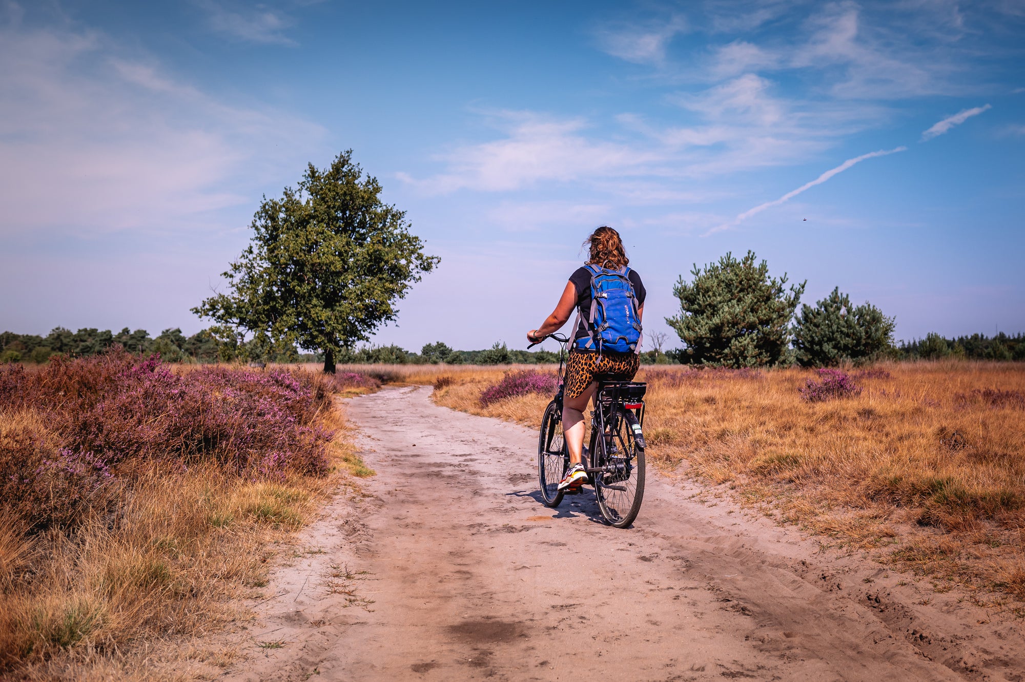 Avontuurlijke camperroute Nederland – Shop Goboony